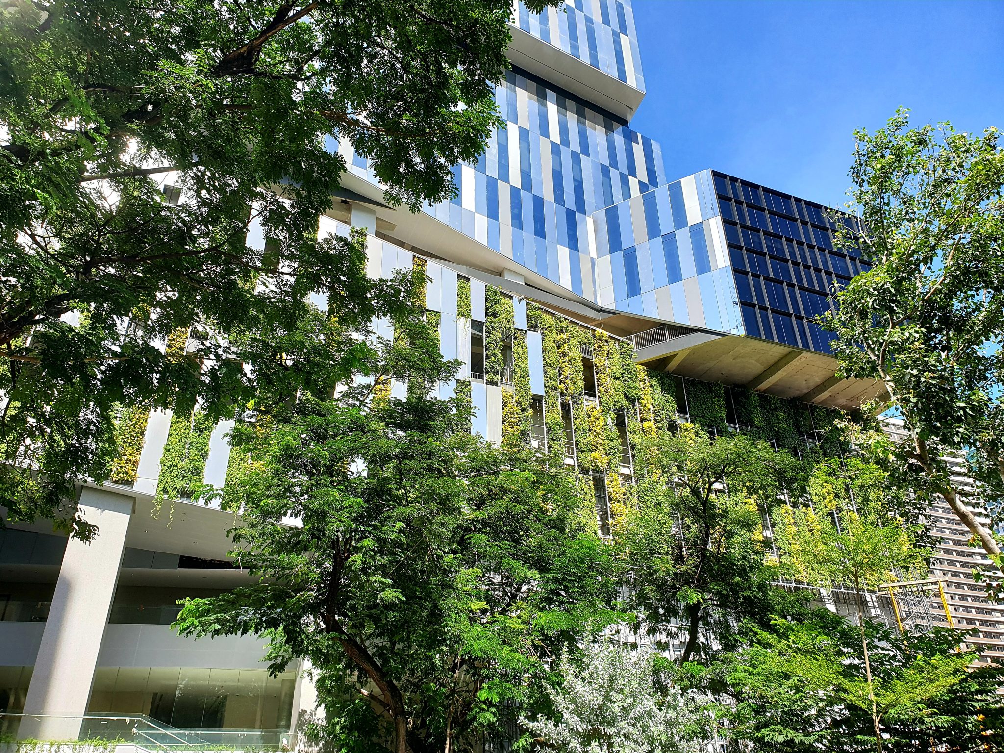 Biodiversity in Modern Cities - CUBESYSTEM